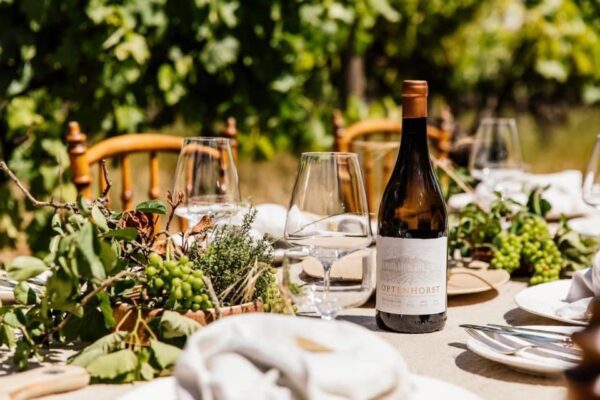 The enchantment of Optenhorst Chenin Blanc - Thirsty Traveler